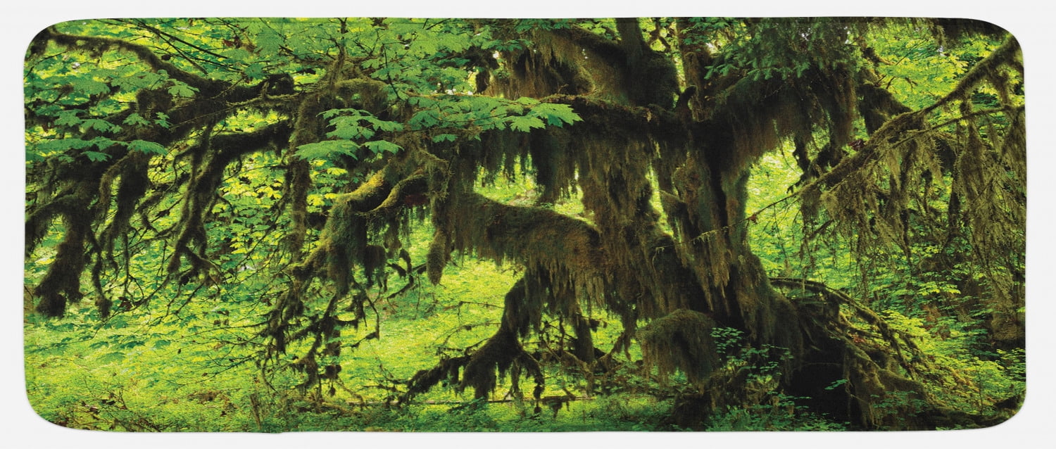 Rainforest Kitchen Mat, Tree with Moss in the Jungle Natural Life Feng ...