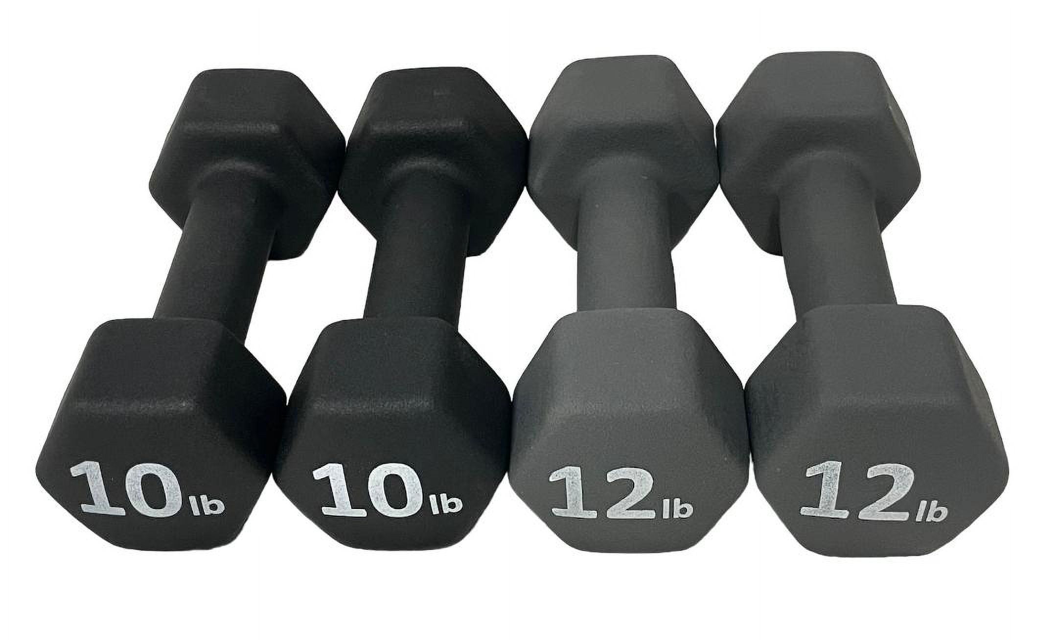 Rainforest Basics 10 lb & 12 lb Pairs Neoprene Hex Dumbbell Hand ...