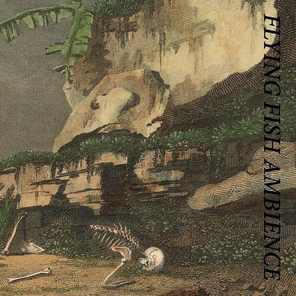 Rainforest Spiritual Enslavement - Flying Fish Ambience - Music ...