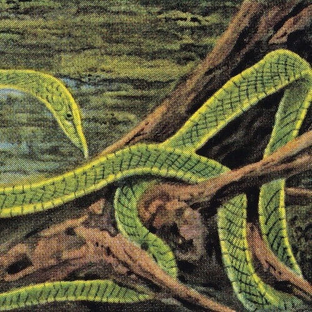 Rainforest Spiritual Enslavement - Green Graves - Music & Performance ...