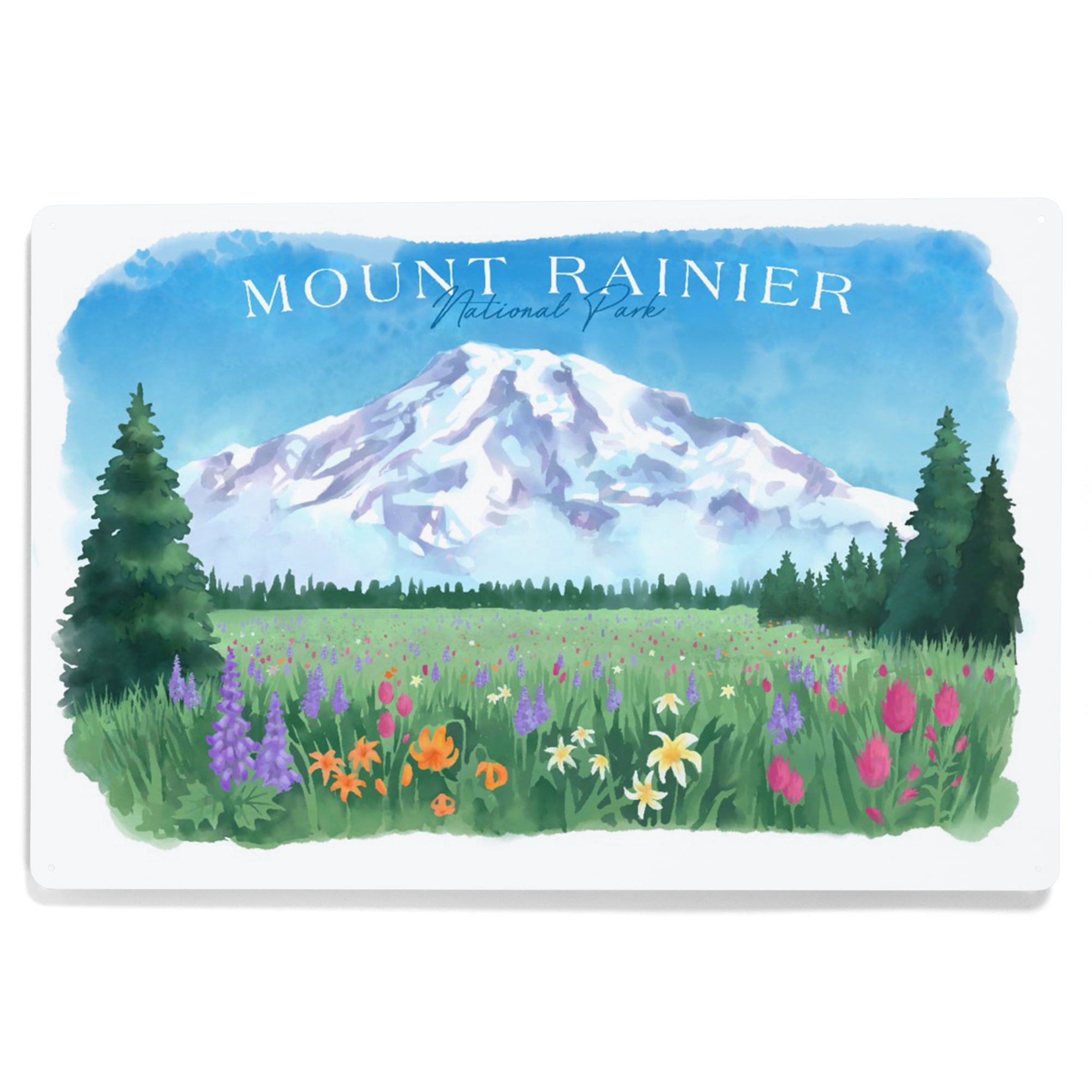 Rainier National Park, Washington, Botanical Rainier (12x18 Aluminum ...