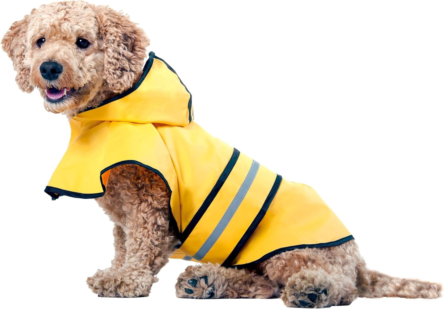 Rainy Days Slicker - Yellow Dog Rain Jacket With Hood, Reflective Strip ...
