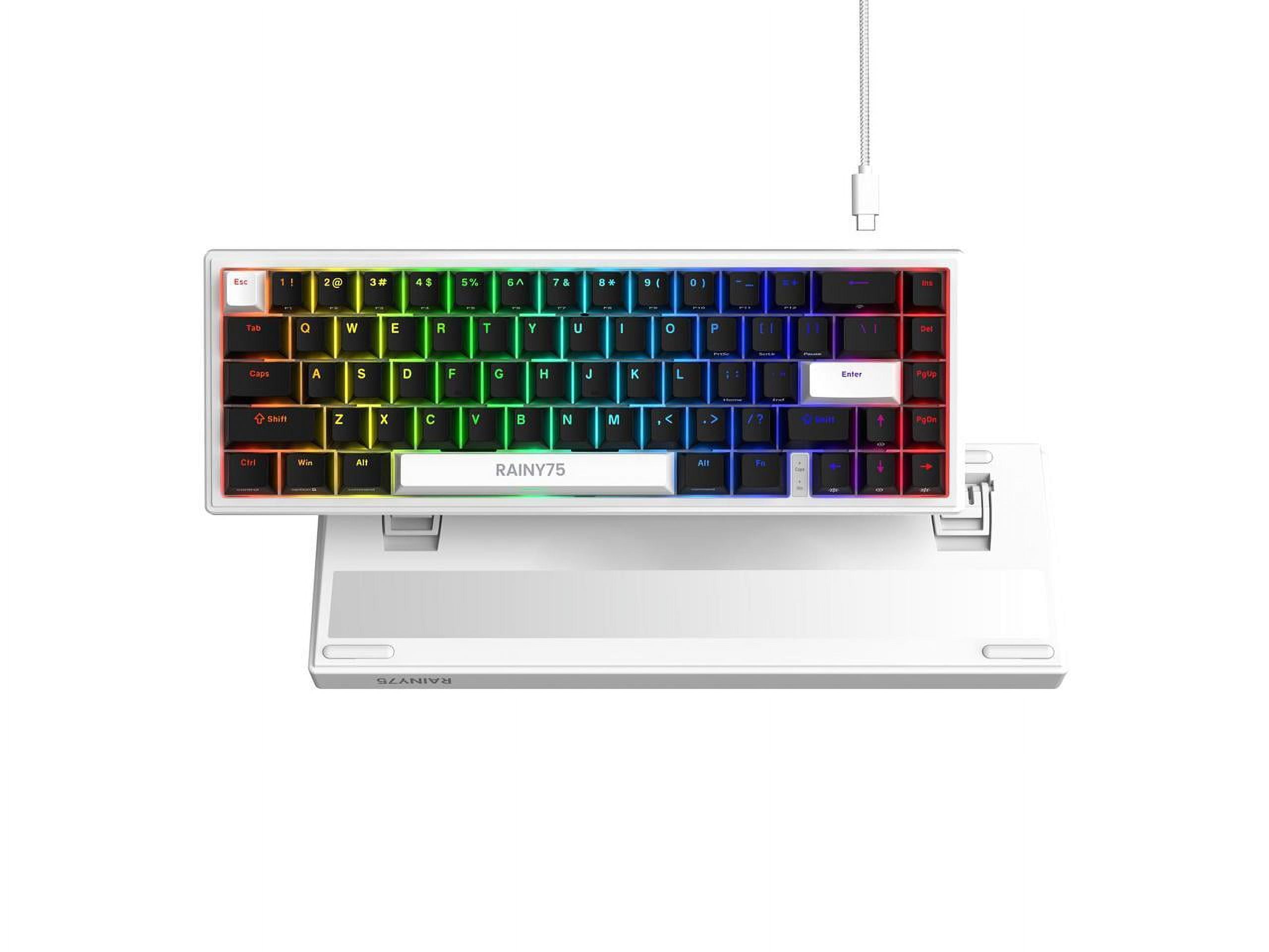 Rainy75 60% Percent Keyboard, Mechanical Gaming Keyboard Gasket Mounted ...