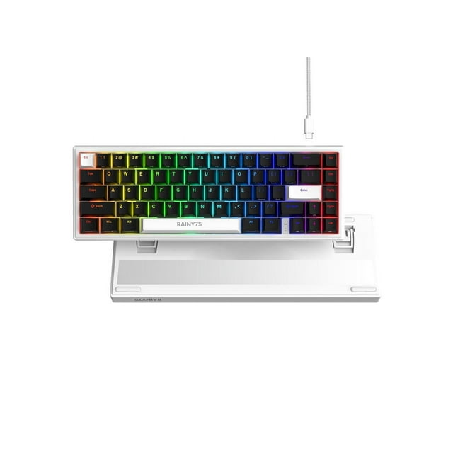 Rainy75 60% Percent Keyboard, Mechanical Gaming Keyboard Gasket Mounted ...