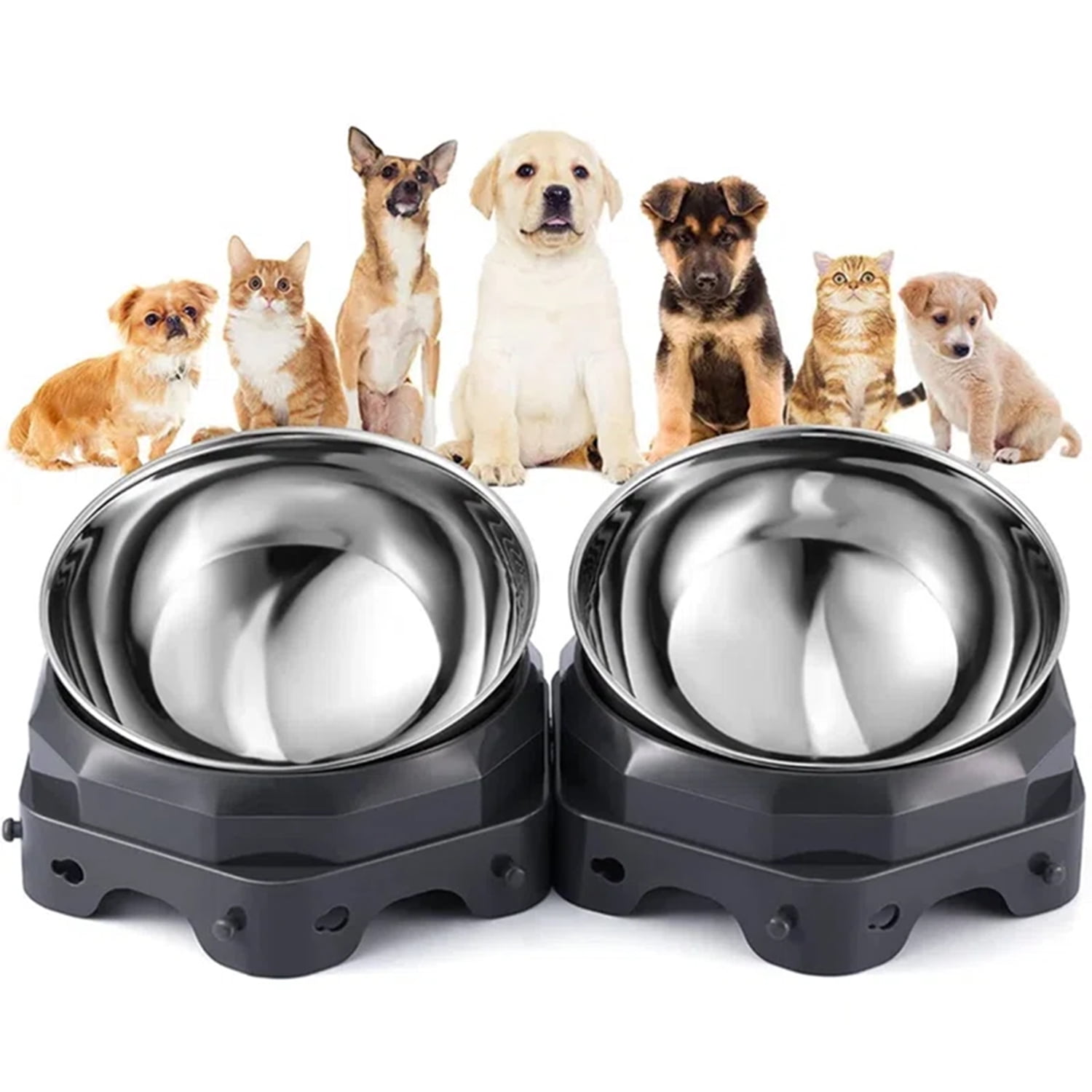 Raised Cat Food Bowl, Stainless Steel Cat Dish for Food Water Anti ...