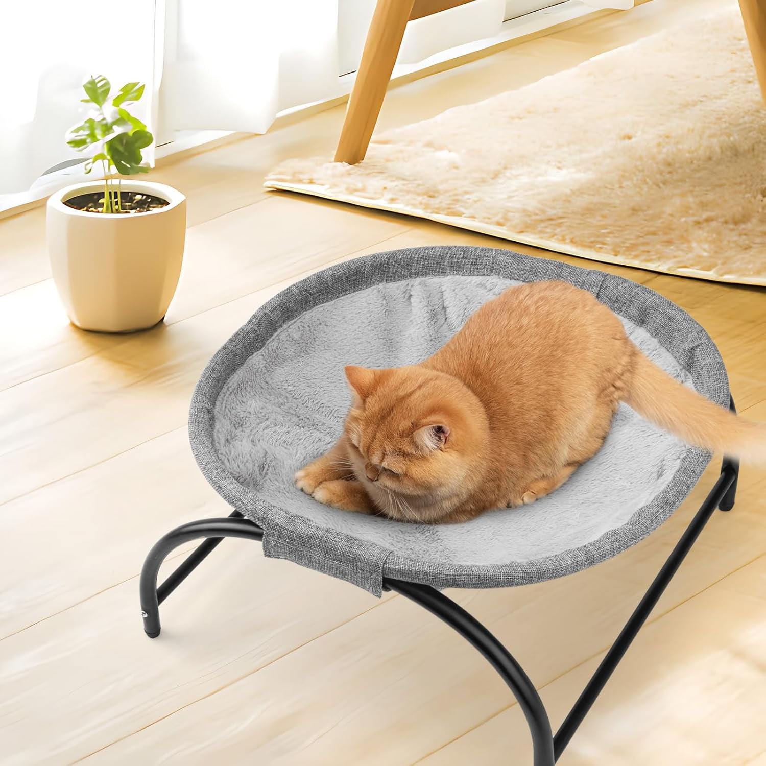Raised Cat Hammock Bed, Pet Bed for Indoor Cats, Standing Cat Cot with ...