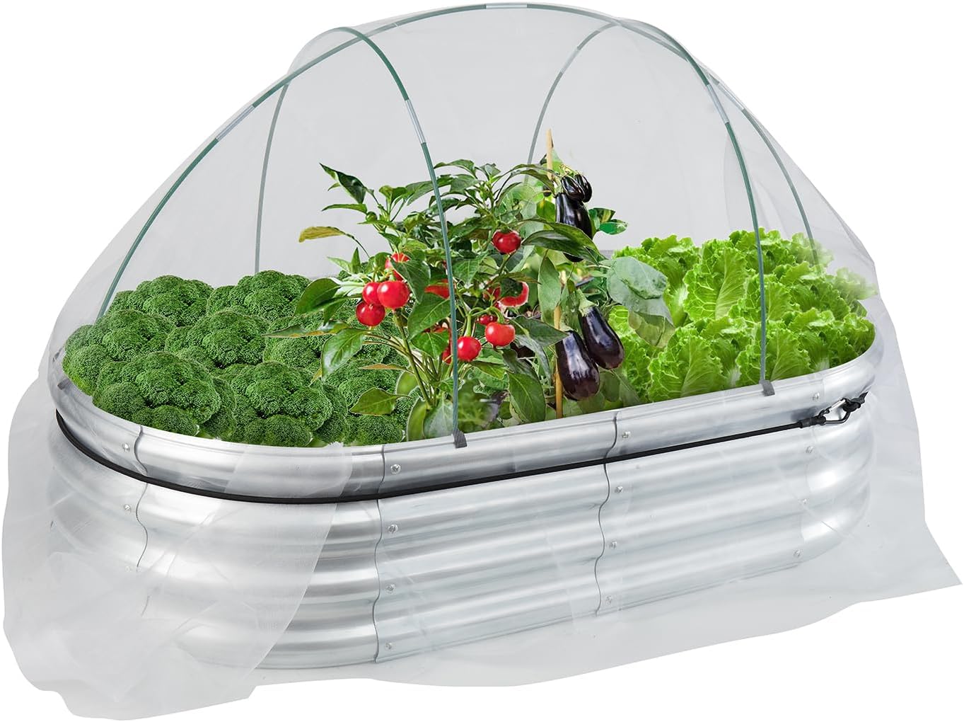 Raised Garden Bed 4x2' with Cloche Hoop and Plant Cover Frost, Plant ...