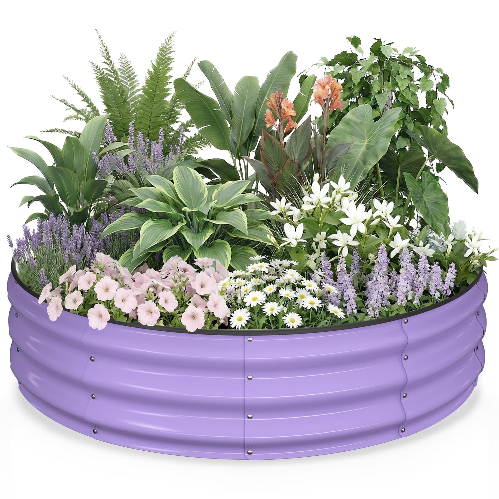 Raised Garden Bed 4x2x1 FT Galvanized Steel Oval Open-Bottom Design 12 ...