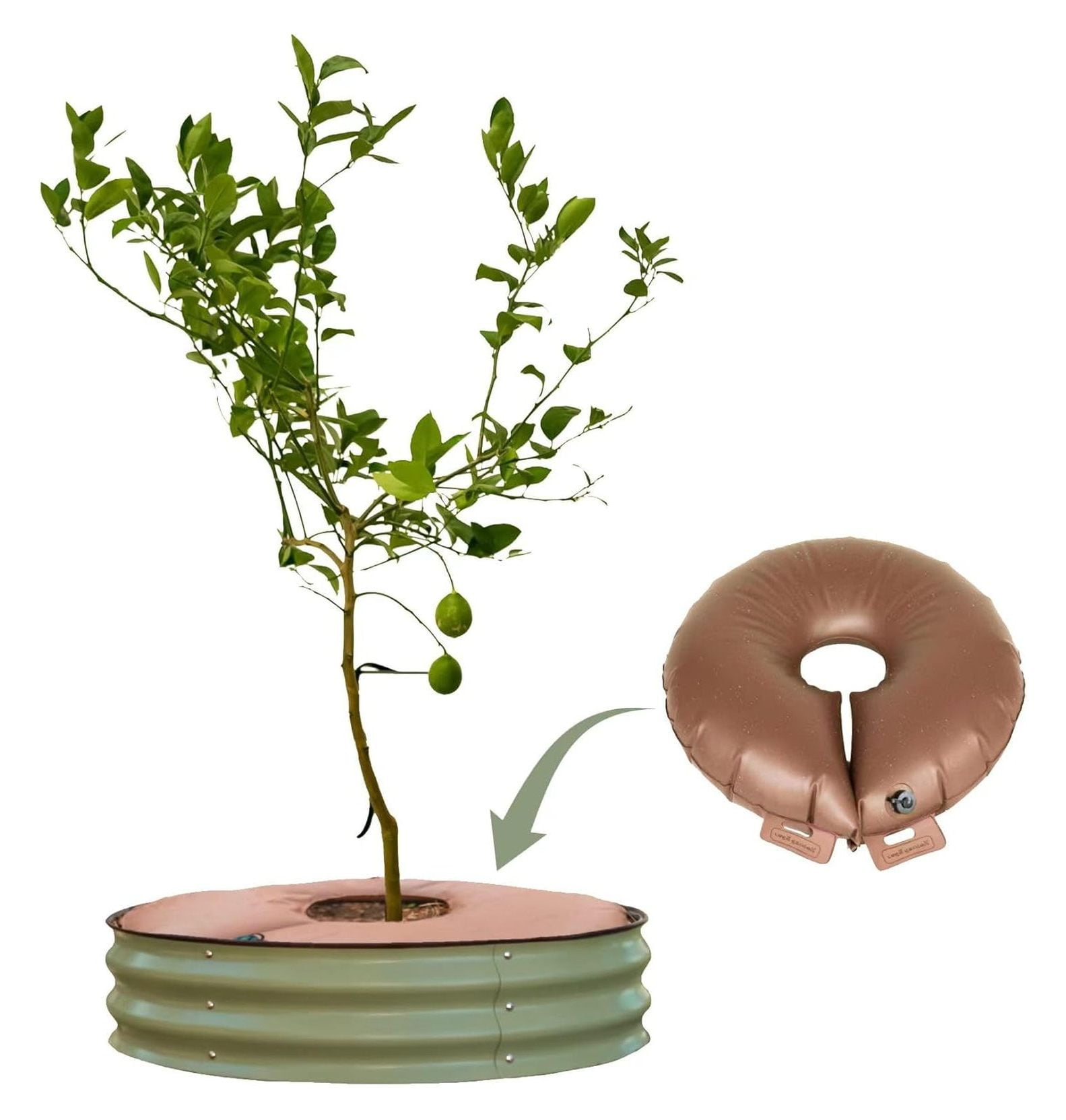 Raised Garden Bed 8” Tall Tree Surround with Watering Ring, Olive Green ...