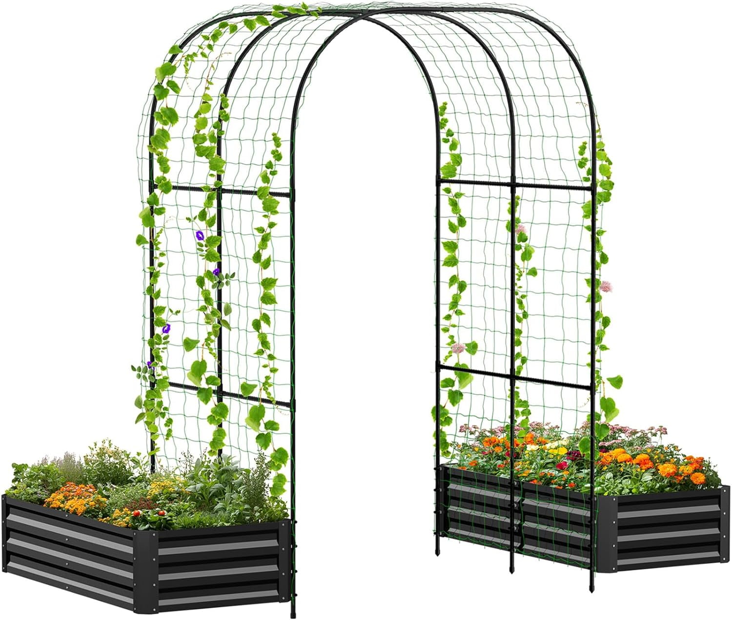Raised Garden Bed with 87in Tall Arched Trellis for Climbing ...
