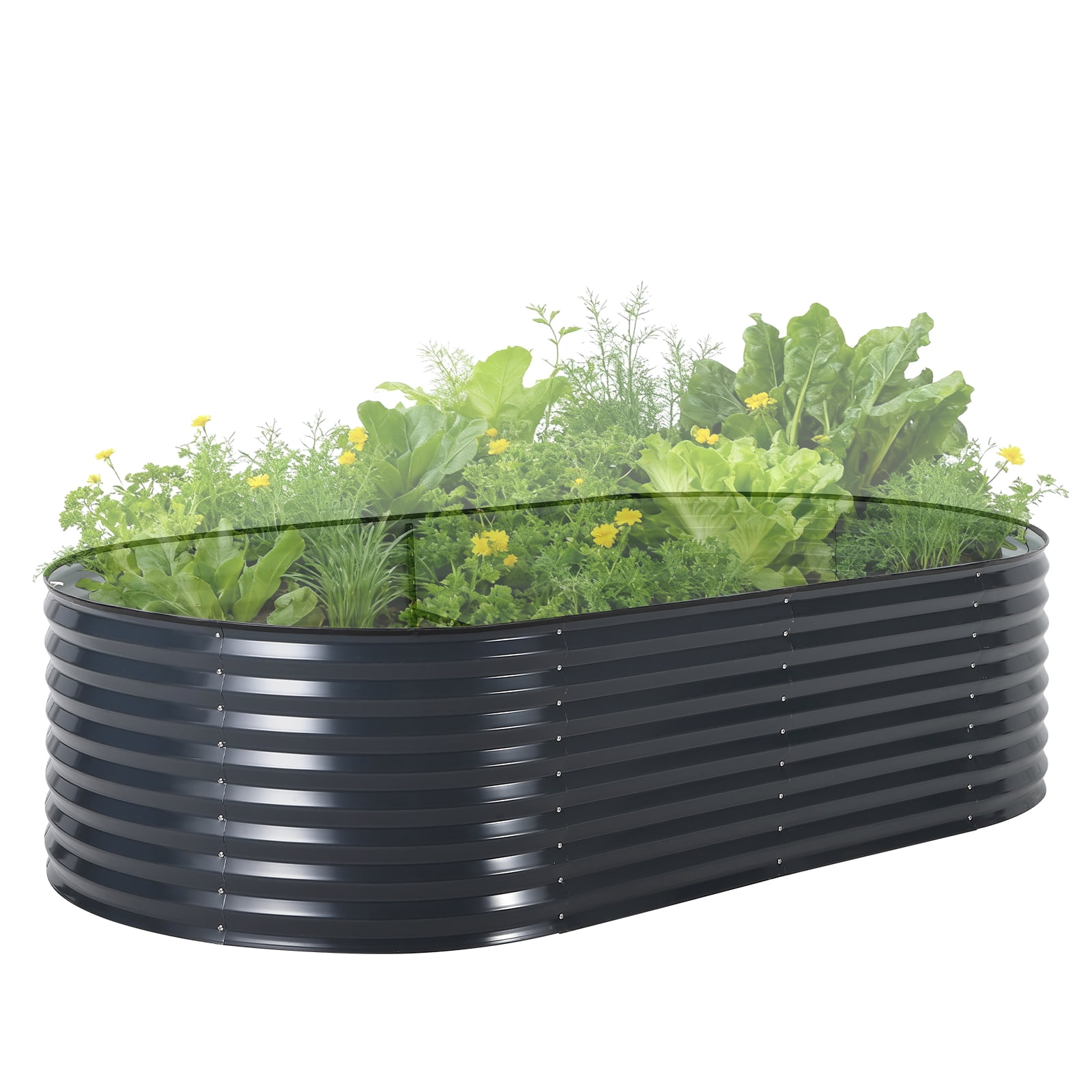 Raised Garden Bed 8x4x2 ft ft with Cloche Hoop and Plant Cover Frost ...