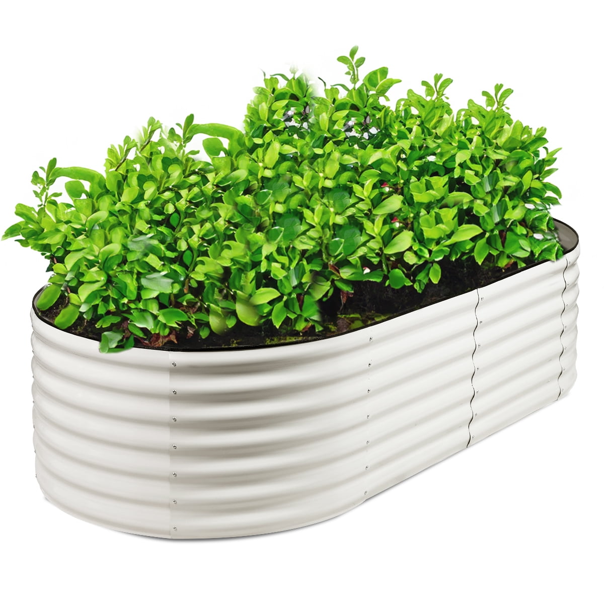 Raised Garden Bed - 8x4x2FT, Galvanized Magnesium Aluminum Planter Box ...