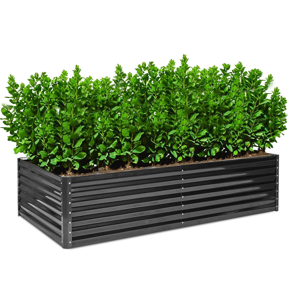 Free Shipping! Raised Garden Bed - 8x4x2FT, Galvanized Magnesium ...