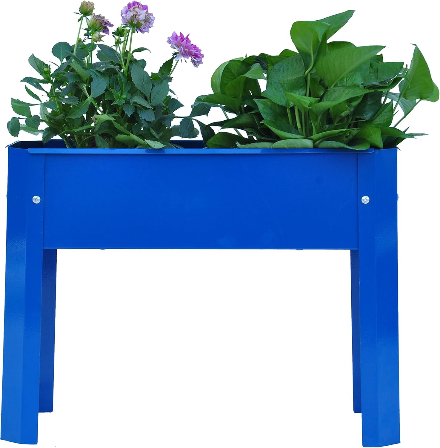 Raised Garden Bed, Garden Bed with Bracket, Used for Planting ...