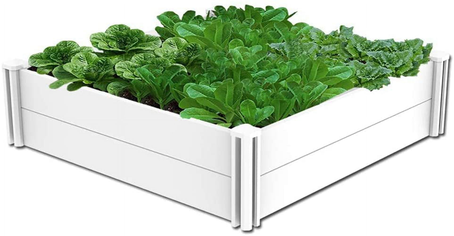 Raised Garden Bed Kit 4'x4' Outdoor Above Ground Planter Box for ...
