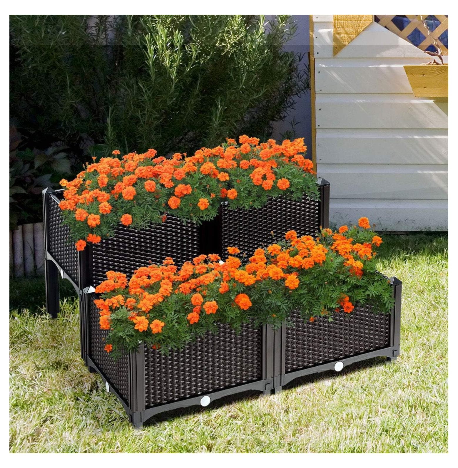 Raised Garden Bed Kit, Set of 4, Elevated Planter Boxes with Self ...