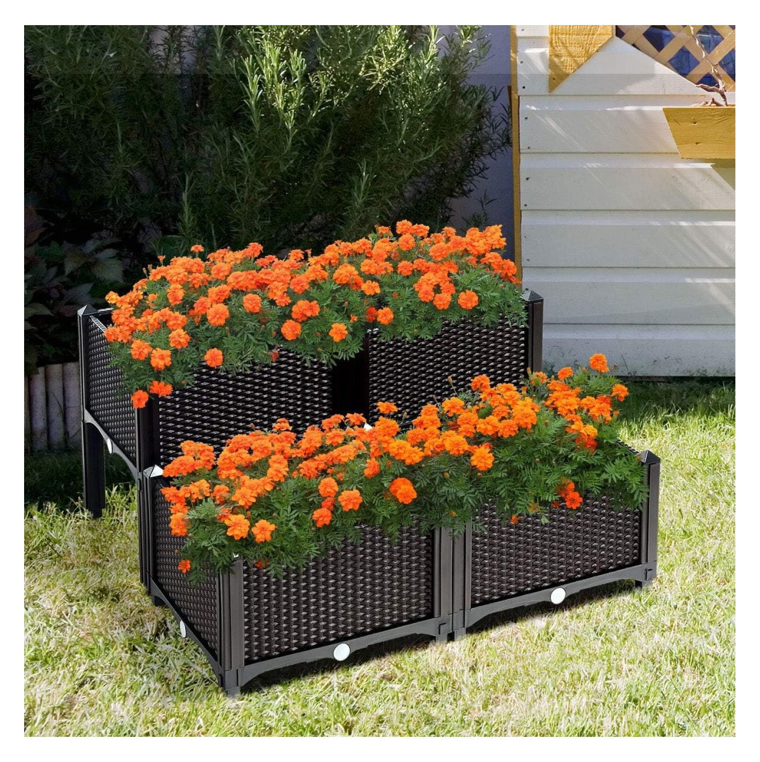 Raised Garden Bed Kit, Set of 4, Elevated Planter Boxes with Self ...