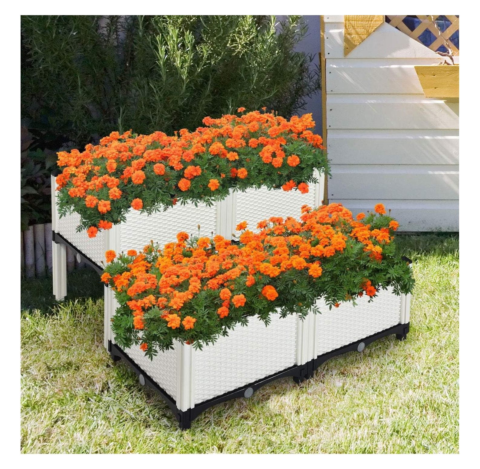 Raised Garden Bed Kit Set of 4, Elevated Planter Boxes with Self ...