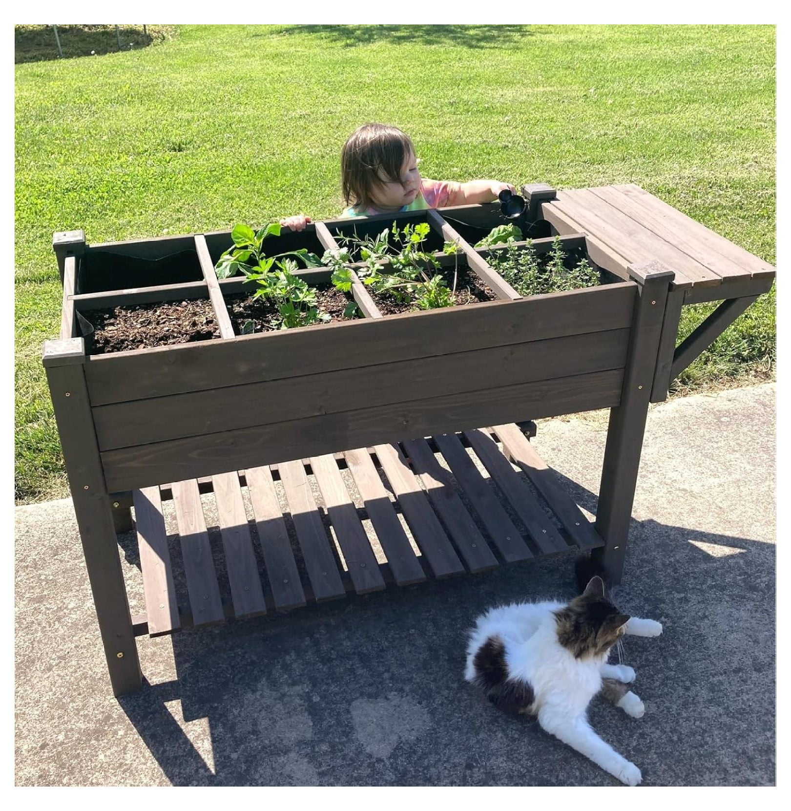 Raised Garden Bed Mobile Outdoor Planter Box with Legs for Vegetables ...