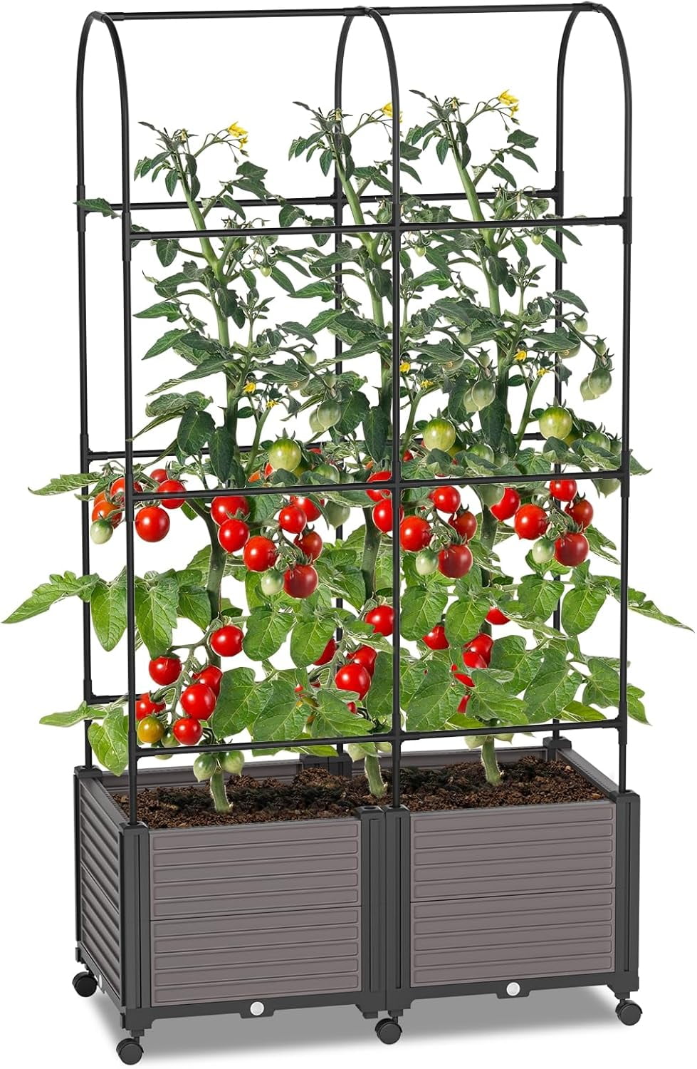 Raised Garden Bed Outdoor Planter Box with Trellis and Wheels, Tomato ...