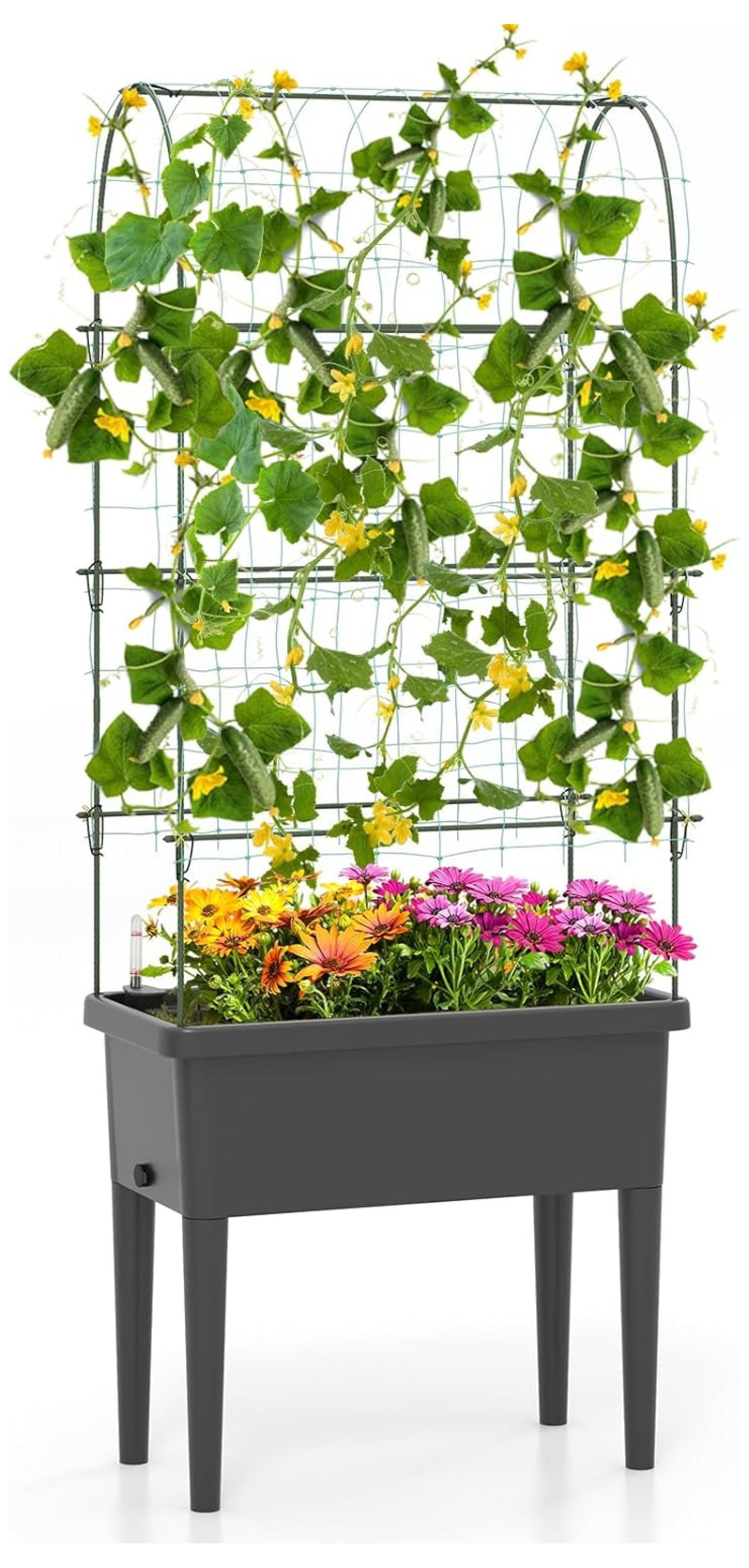 Raised Garden Bed with Trellis, 4 in 1 Self-Watering Planter w/Water ...