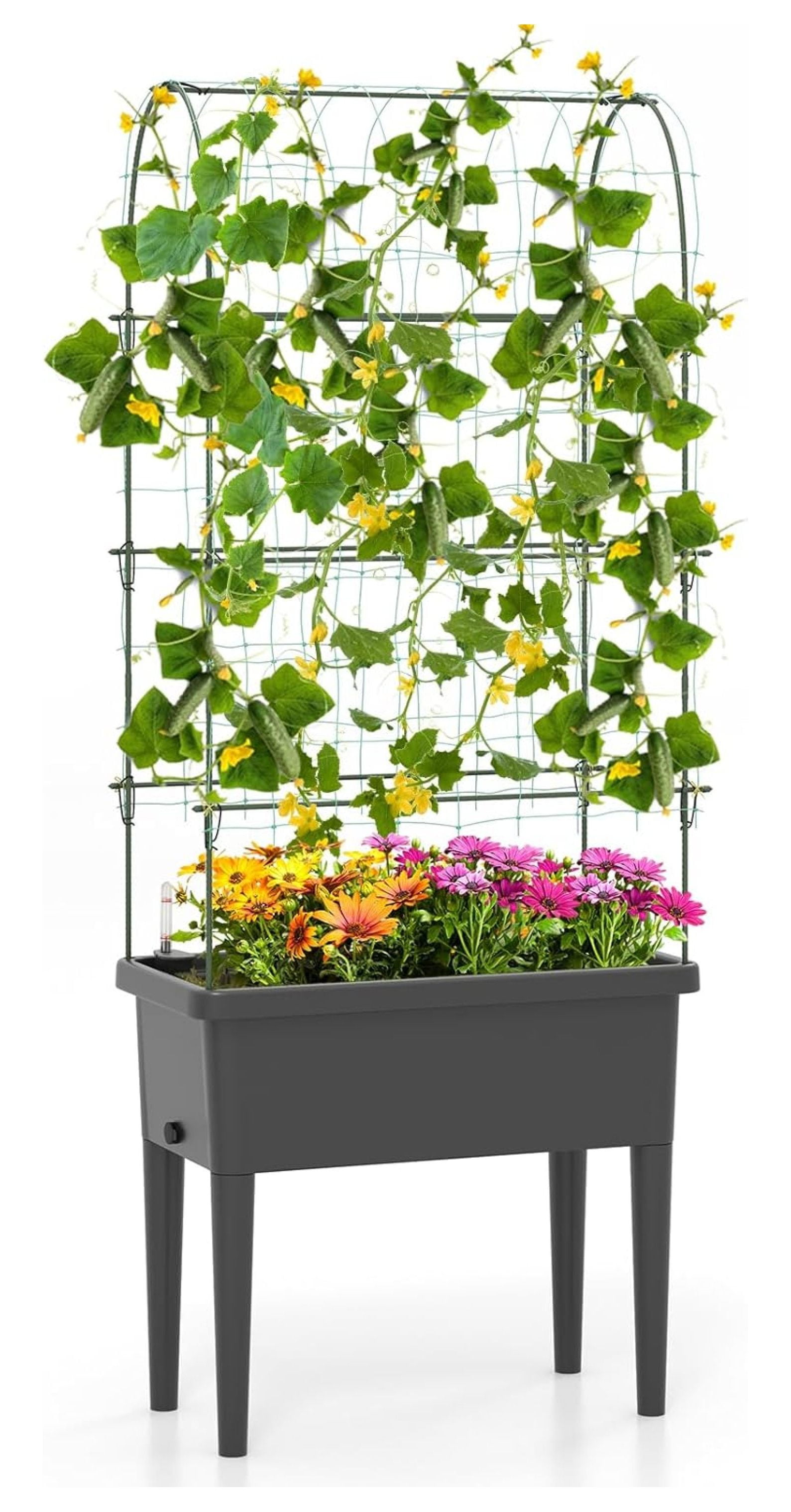 Raised Garden Bed with Trellis, 4 in 1 Self-Watering Planter w/Water ...