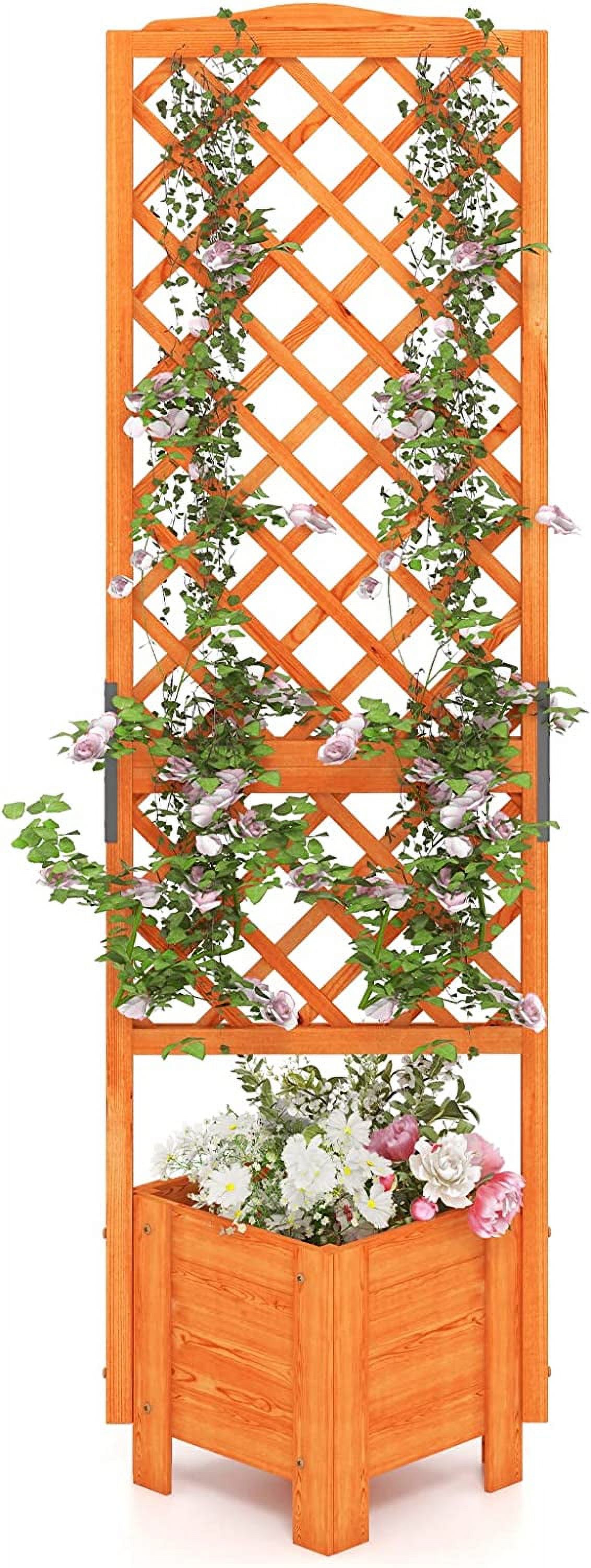 Raised Garden Bed with Trellis, 71" Tall Indoor & Outdoor Freestanding ...