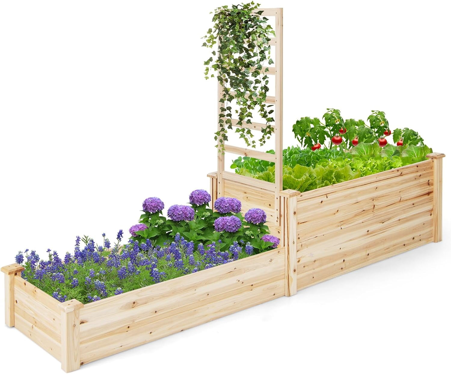 Raised Garden Bed with Trellis, Set of 2 Wood Shallow & Deep Planter ...