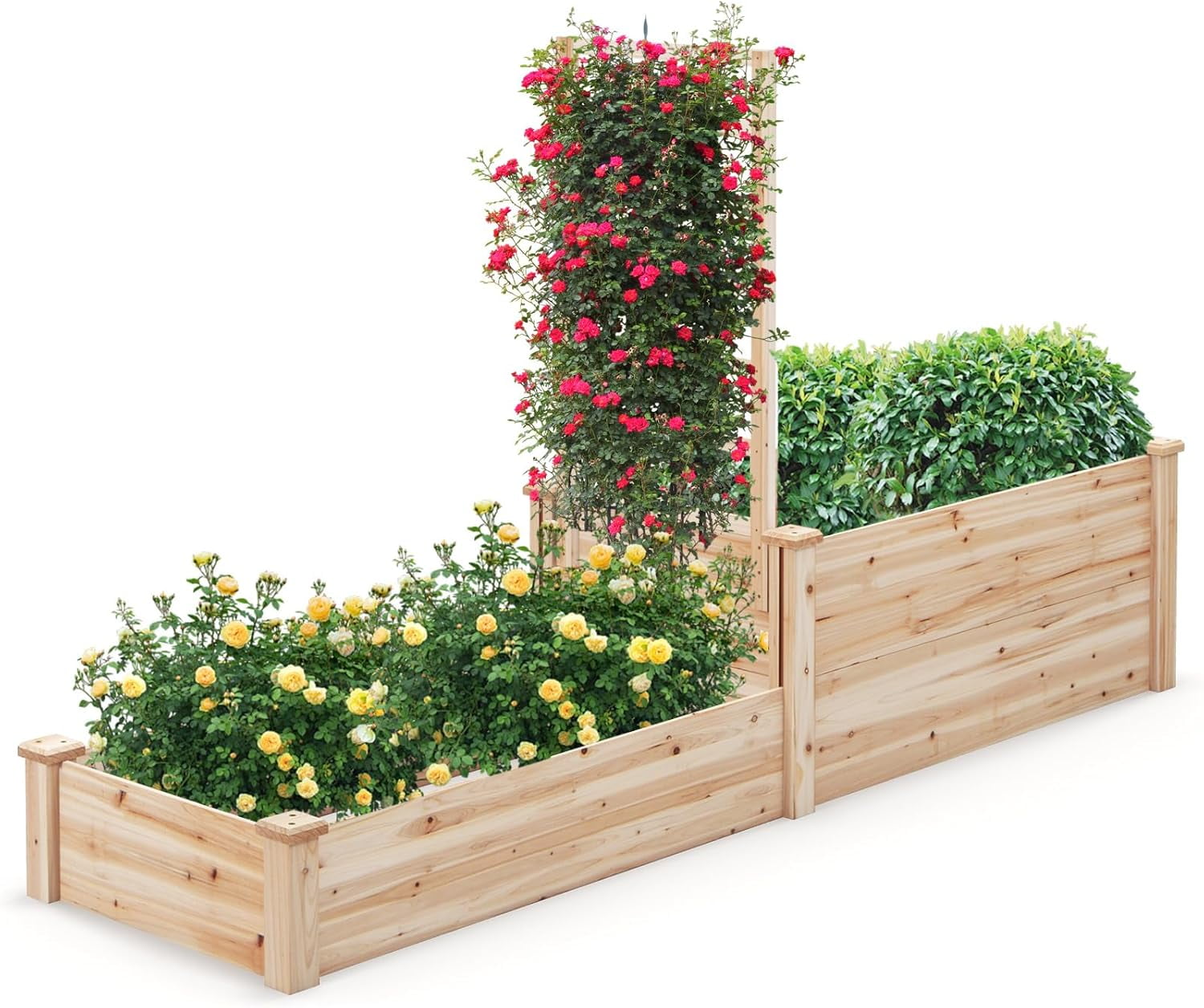 Raised Garden Bed with Trellis, Wood Garden Box w/Open Base Design & 2 ...
