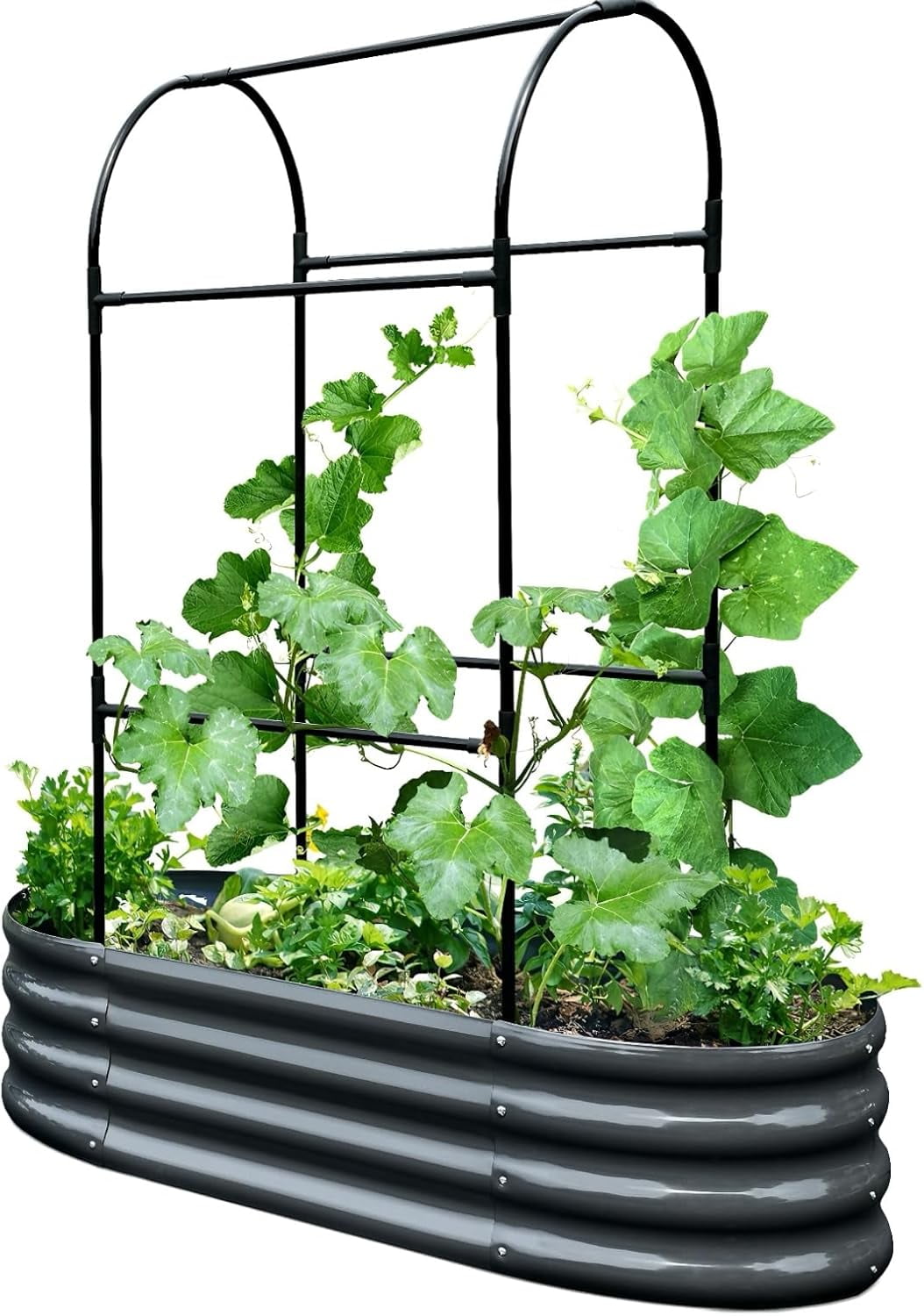Raised Garden Bed with Arched Trellis Galvanized Planter Garden Box ...