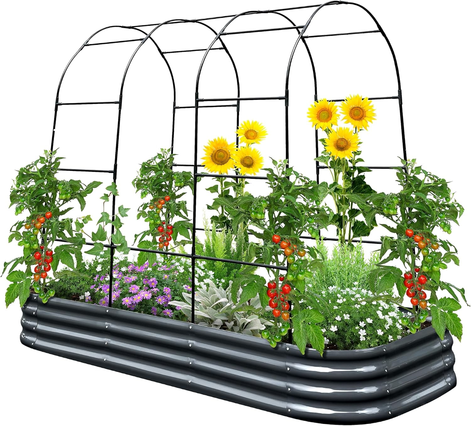 Raised Garden Bed with Arched Trellis Galvanized Planter Garden Box ...