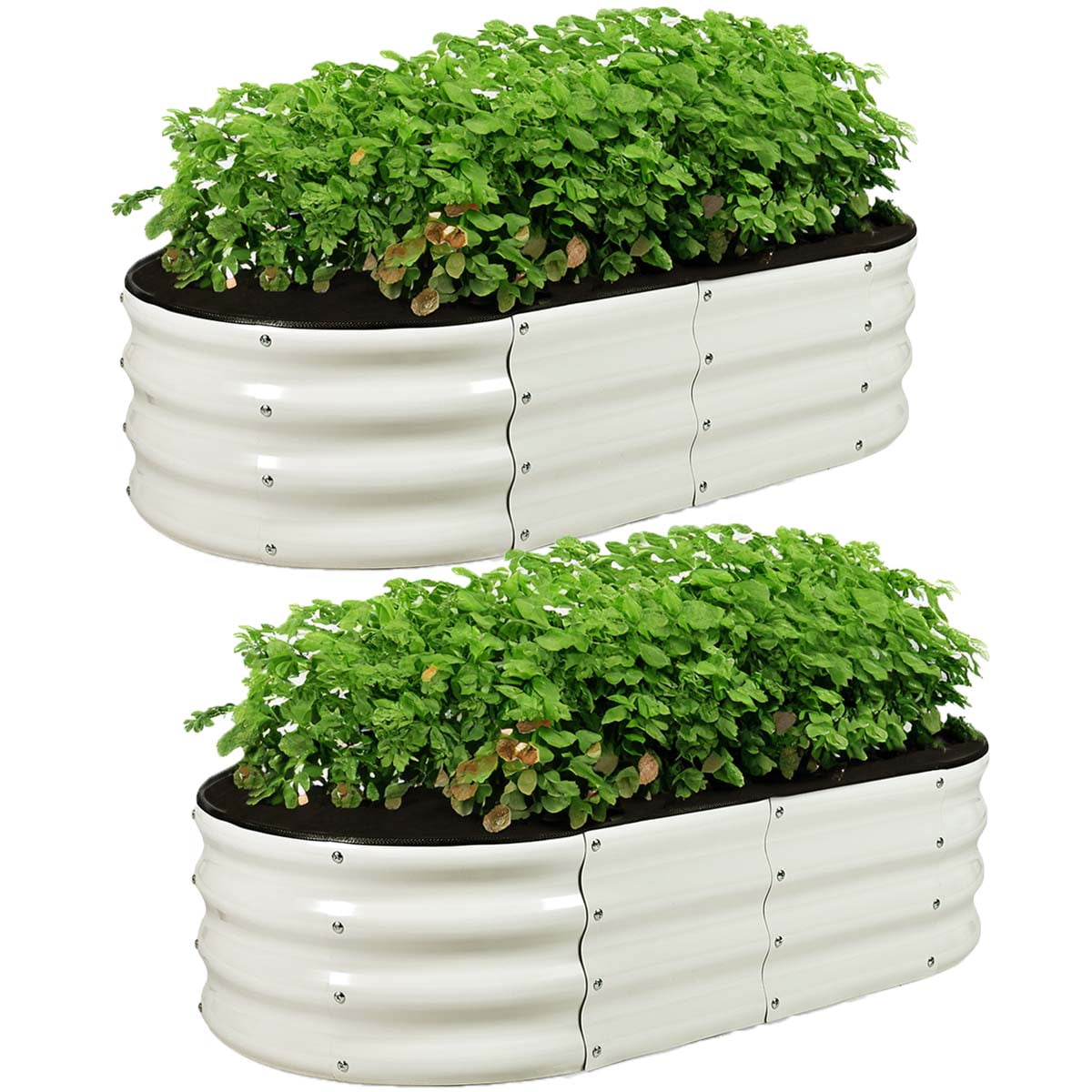 Raised Garden Beds 2pcs 4x2x1FT, Galvanized Magnesium Aluminum Outdoor ...