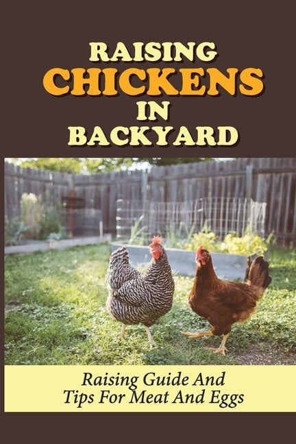 Raising Chickens In Backyard: Raising Guide And Tips For Meat And Eggs ...