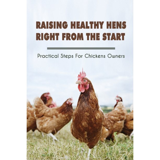 Raising Healthy Hens Right From The Start: Practical Steps For Chickens ...