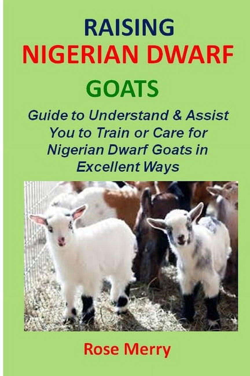 Nigerian Dwarf Goats Shelter