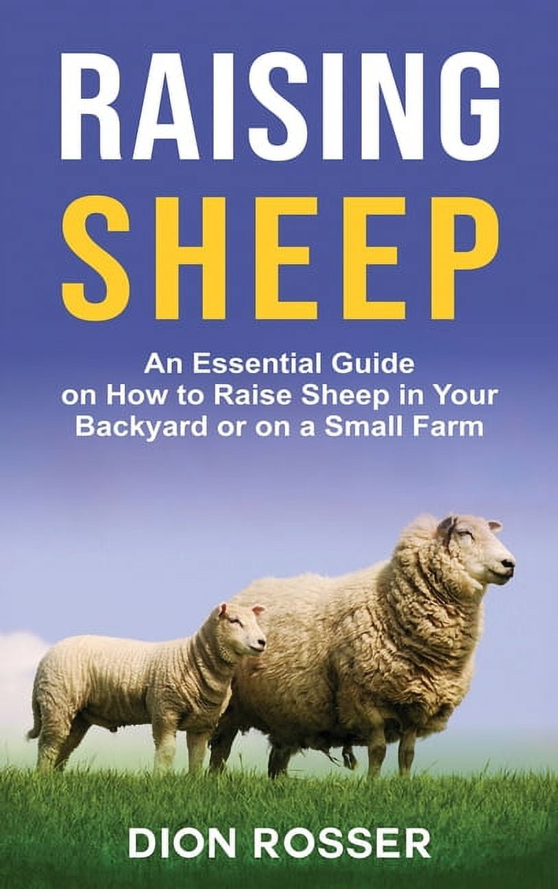 Raising Sheep : An Essential Guide on How to Raise Sheep in Your ...