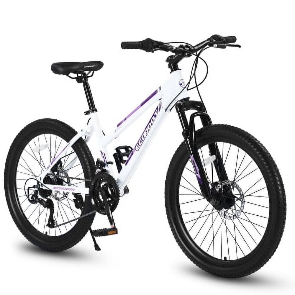 Raistyw 26" Mountain Bike for Women, Shimano 21 Speeds Mountain Bicycles for Women with Dual ...