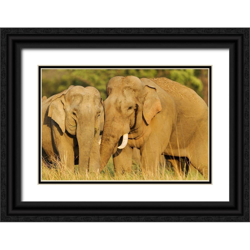 Rajput, Jagdeep 18x13 Black Ornate Wood Framed with Double Matting ...