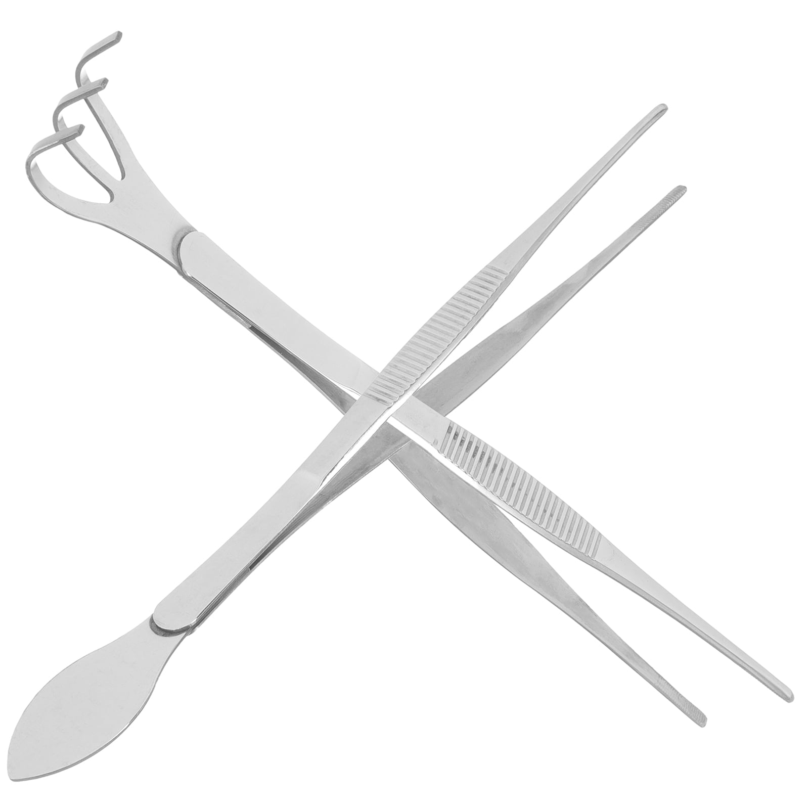 Rake Succulent Planters Scraper Crafting Tweezers Plating Plants Bonsai ...