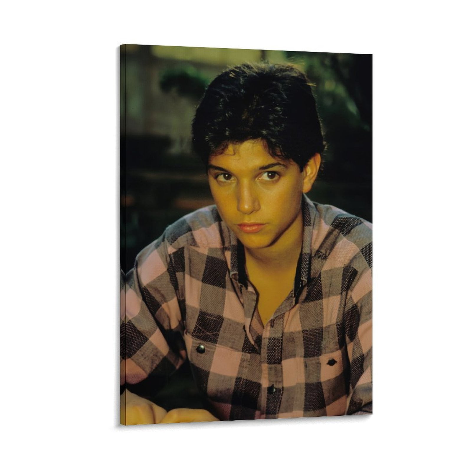 Ralph Macchio Poster (1)5 Canvas Art Poster and Wall Art Picture Print ...