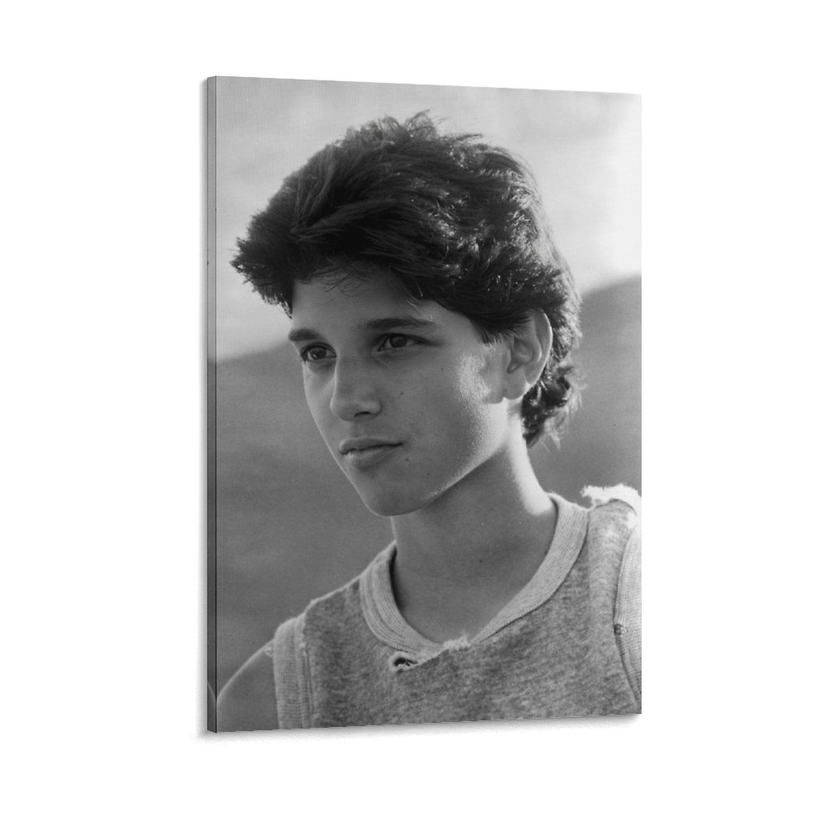 Ralph Macchio Poster (1)6 Print Photo Art Painting Canvas Poster Home ...