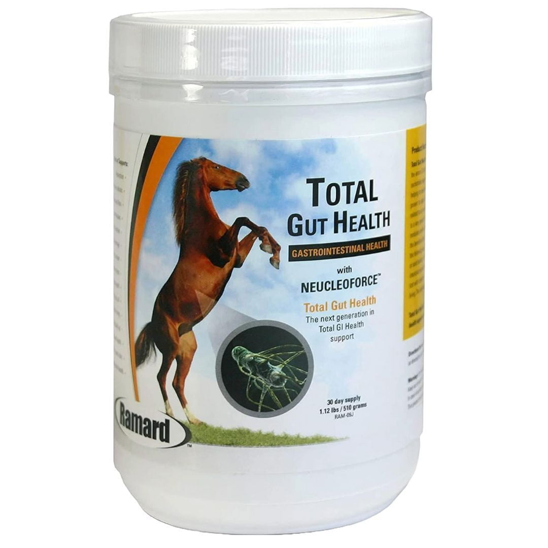 Ramard Total Gut Health Equine, Digestive Support, Intestinal ...