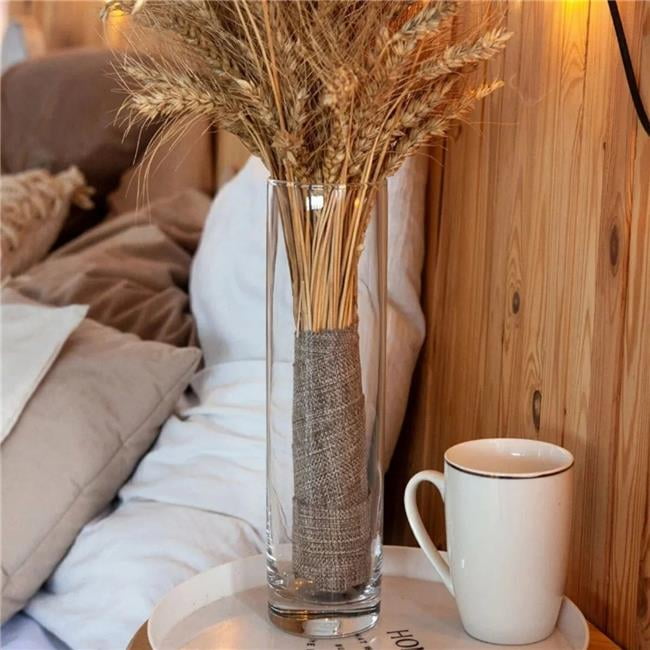 Ramart Studio Glass 1834-0 16 in. Flora Glass Cylinder Vase - Walmart.com