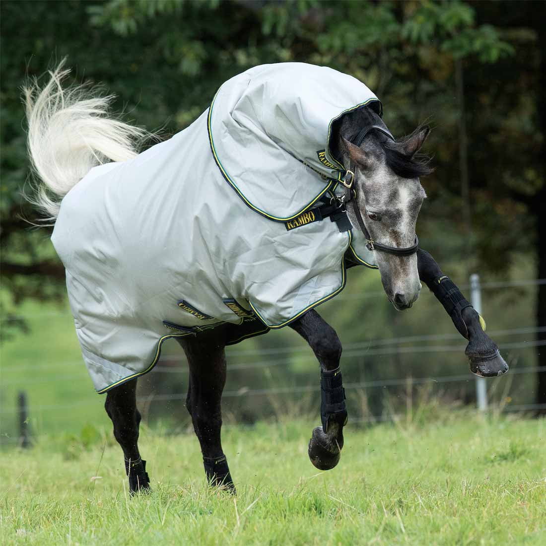 Rambo® Duo Bundle (100g Outer & 100g Liner with 300g Liner) (69", Grey ...
