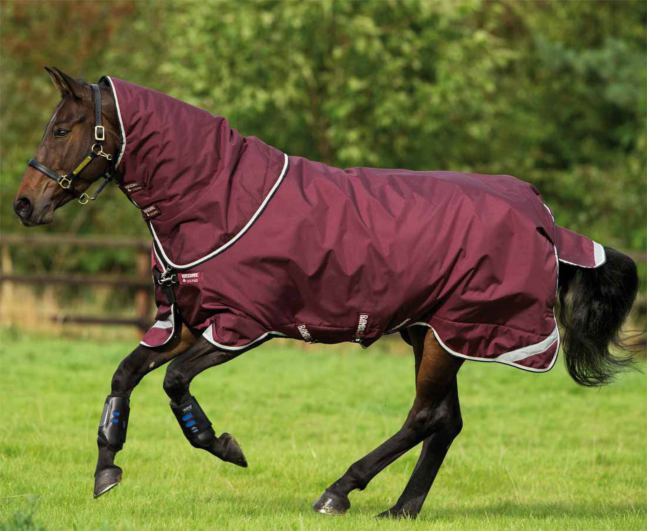 Rambo Duo Turnout Blanket (100g Medium-Lite, 300g Liner, 100g Hood ...