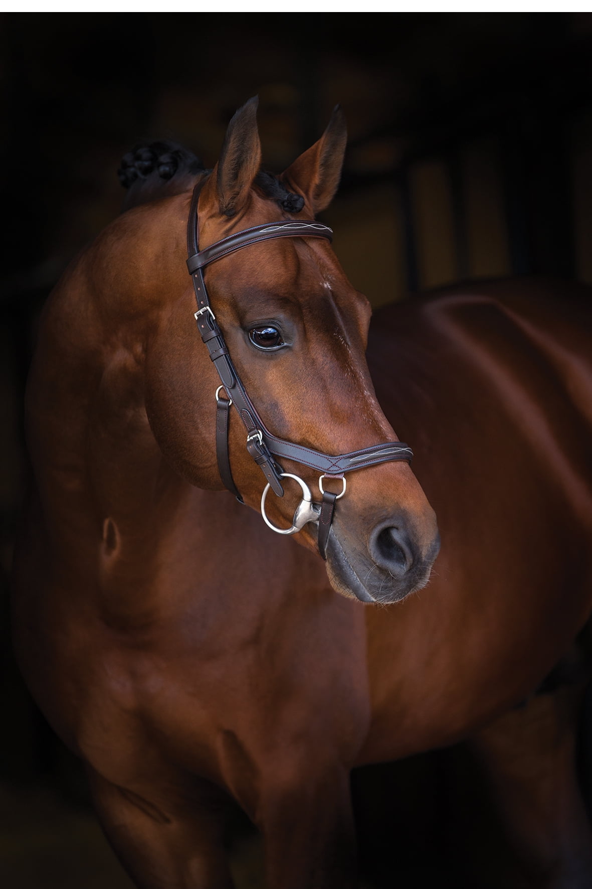 Rambo Micklem Deluxe Competition Bridle, Dark Havana Size: Full ...