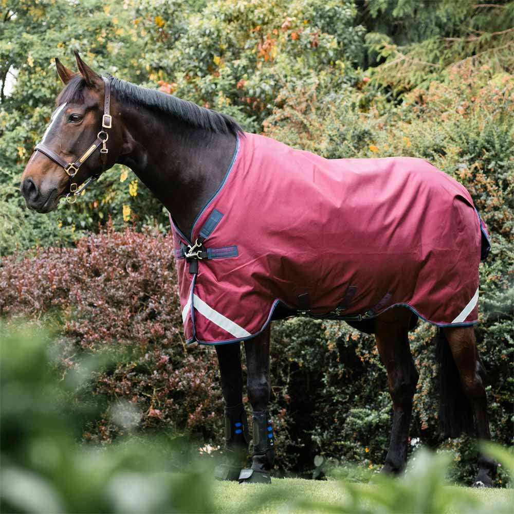 Rambo Original Turnout Sheet With Leg Arches (0g Lite), Burgundy (Teal ...