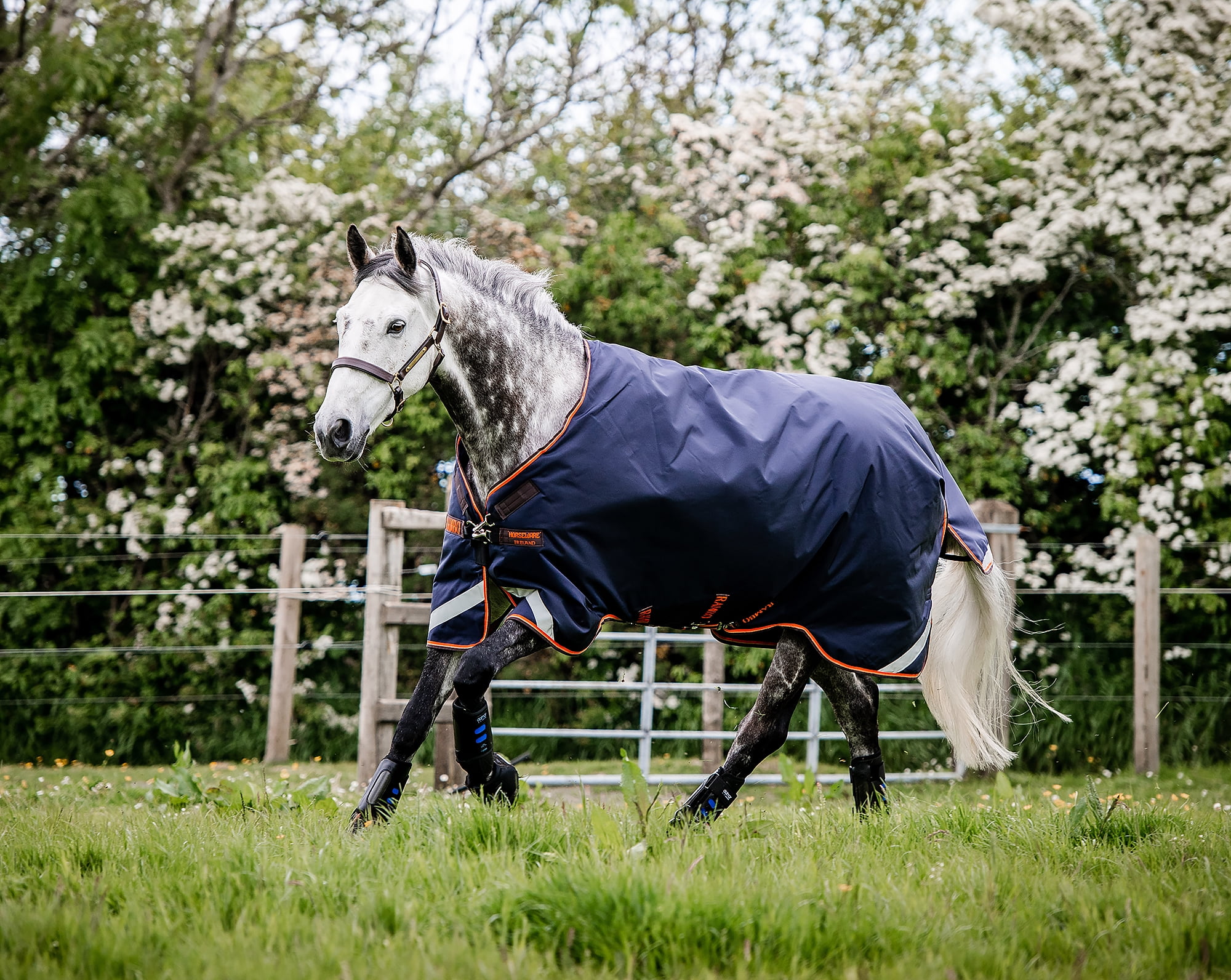 Rambo Original with Leg Arches, 100 gram, Navy/Orange, 72" - Walmart.com