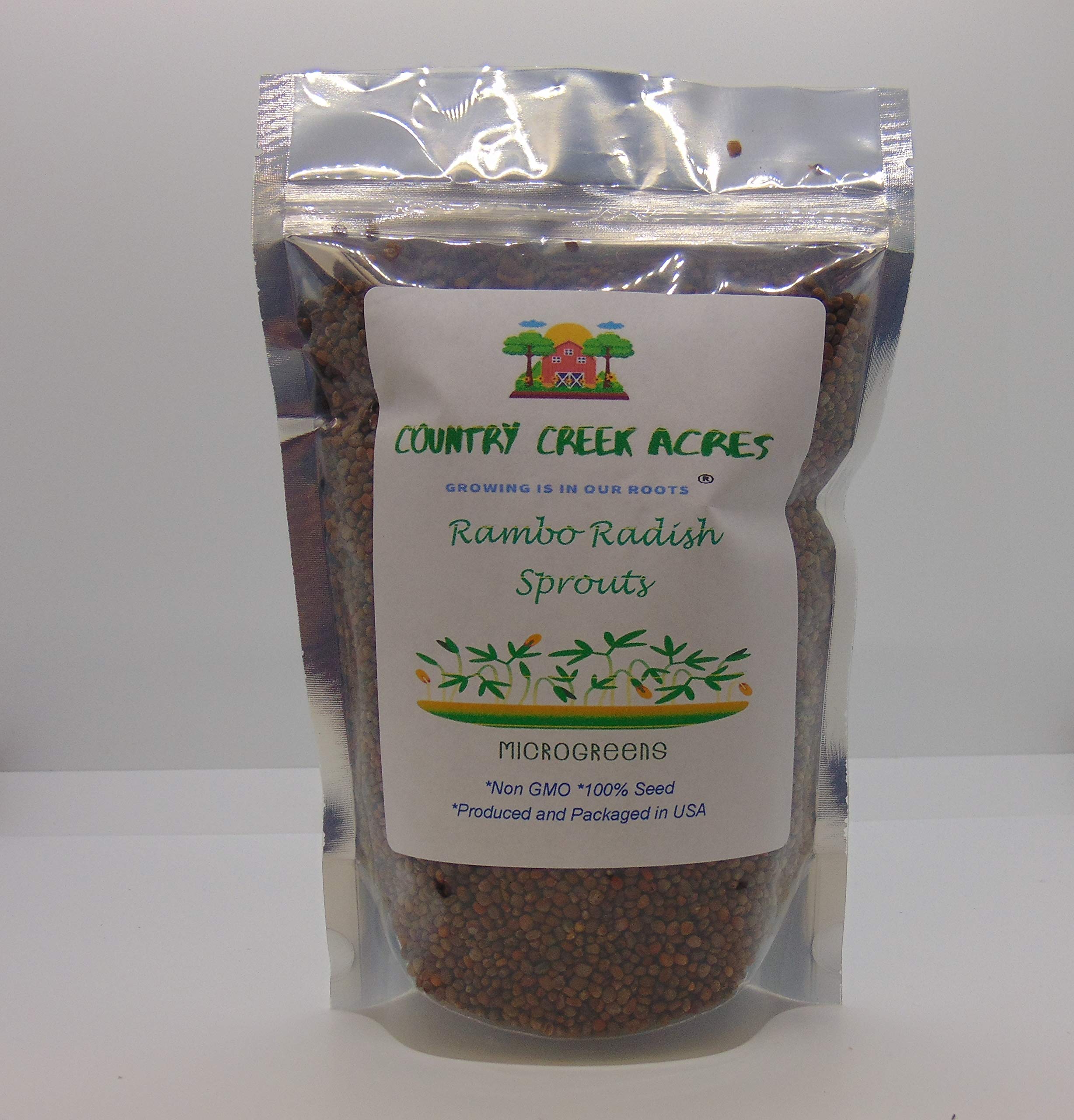 Rambo Radish Sprouting Seed, Non GMO - 4 oz - Country Creek Brand ...