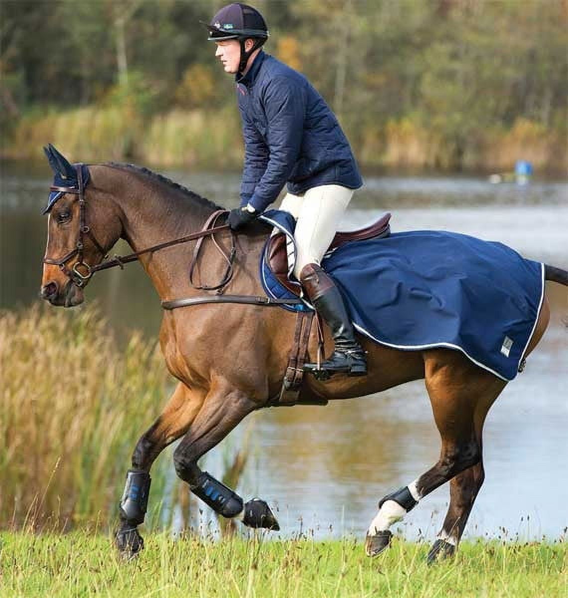 Rambo Waterproof Competition Sheet (No Fill, Fleece), Navy (Beige/Baby ...